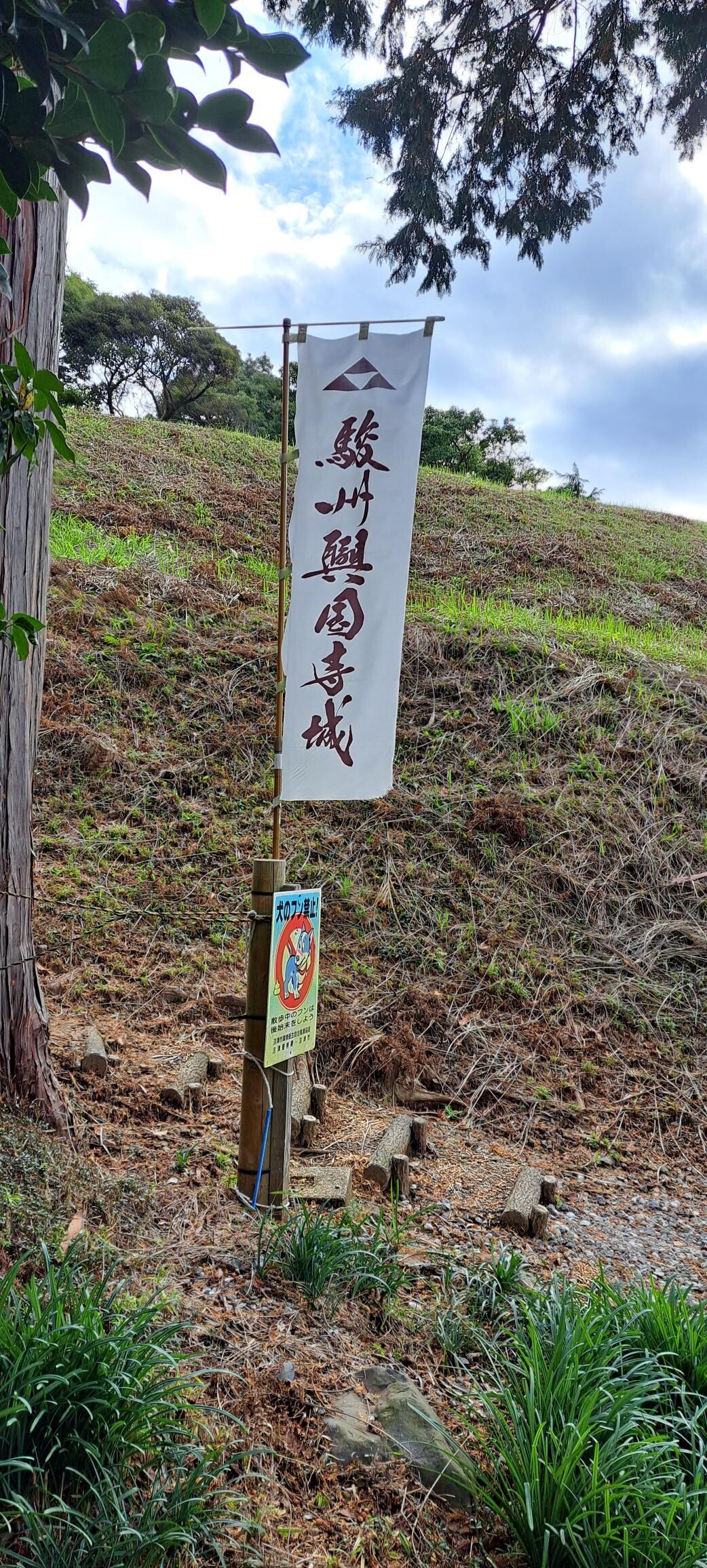 2022/12/03 続•百名城 静岡の... / mask_of_naoさんのモーメント | YAMAP / ヤマップ