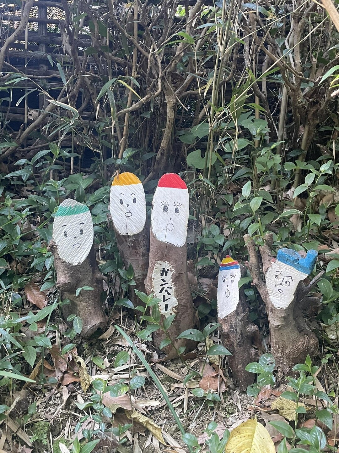 谷津山 / mameさんの谷津山の活動データ | YAMAP / ヤマップ