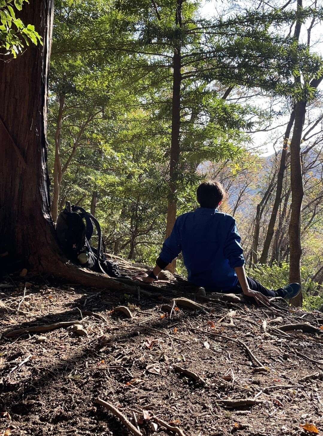 興山園と根神山 / Solidaさんの犬鳴山・西山（鮎坂山）の活動データ | YAMAP / ヤマップ