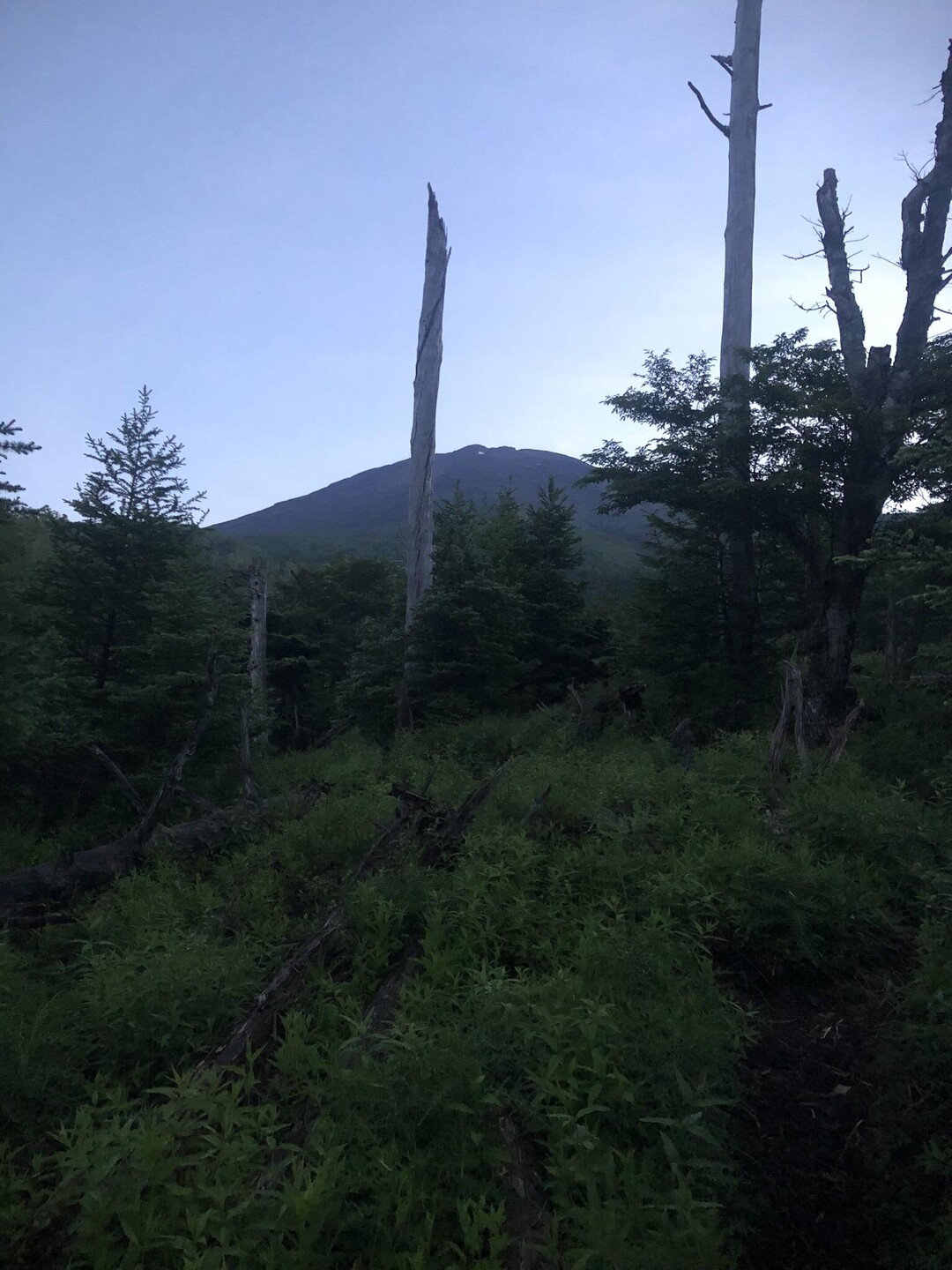 ゼロ富士3776 Ⅱ / 山男さんの富士山登山ルート3776 3日目コースの活動データ | YAMAP / ヤマップ