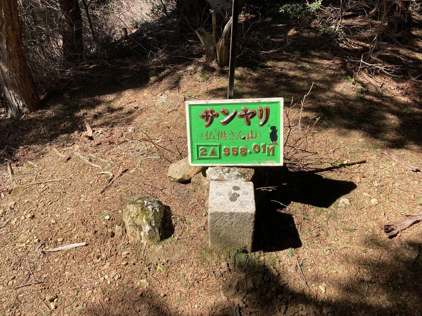 天狗堂・サンヤリ / kiyoppiさんの天狗堂の活動データ | YAMAP / ヤマップ