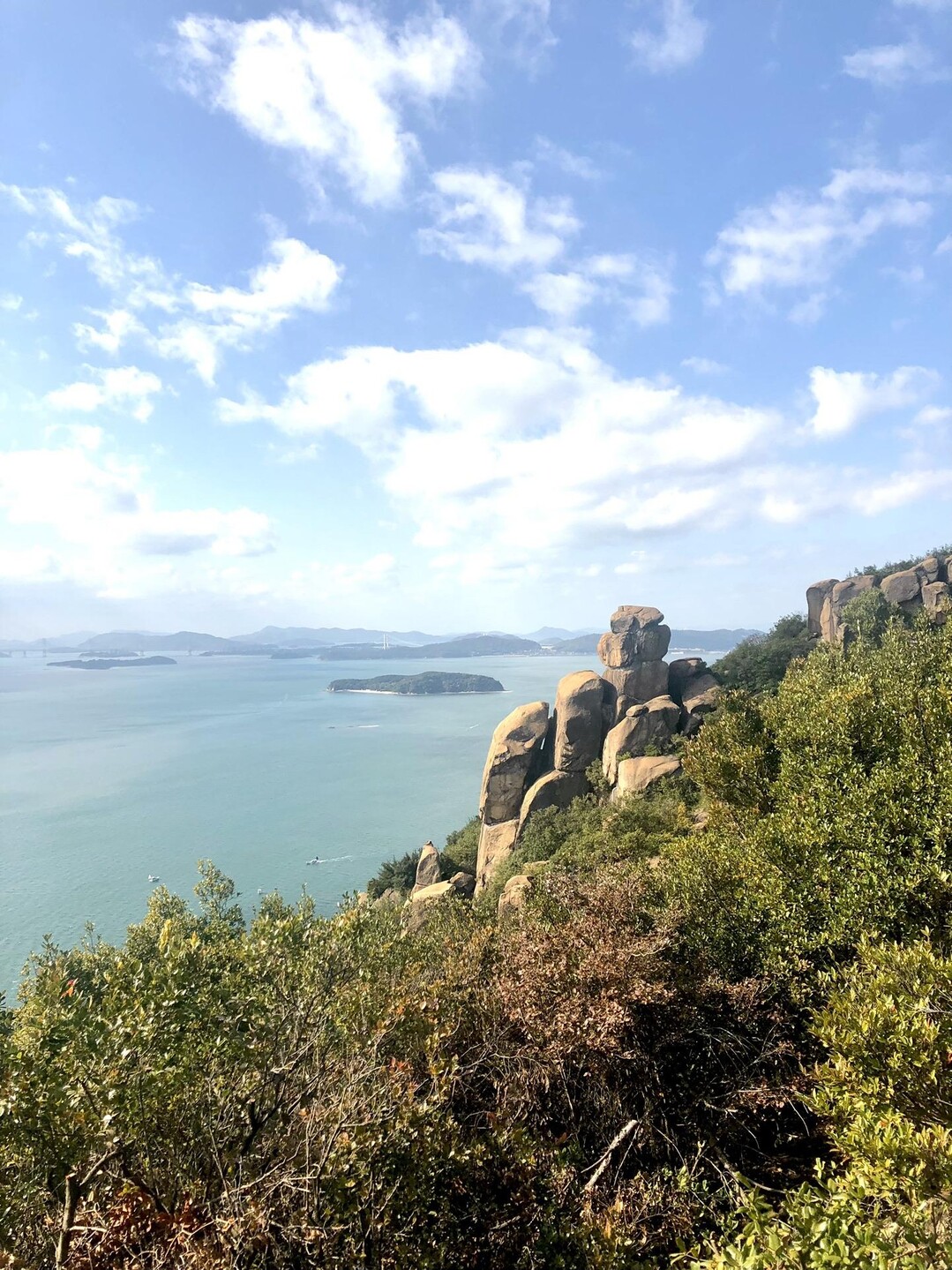王子ヶ岳（矢出山〜新割山 往復） / maximumさんの王子が岳・神登山・臥竜山の活動データ | YAMAP / ヤマップ