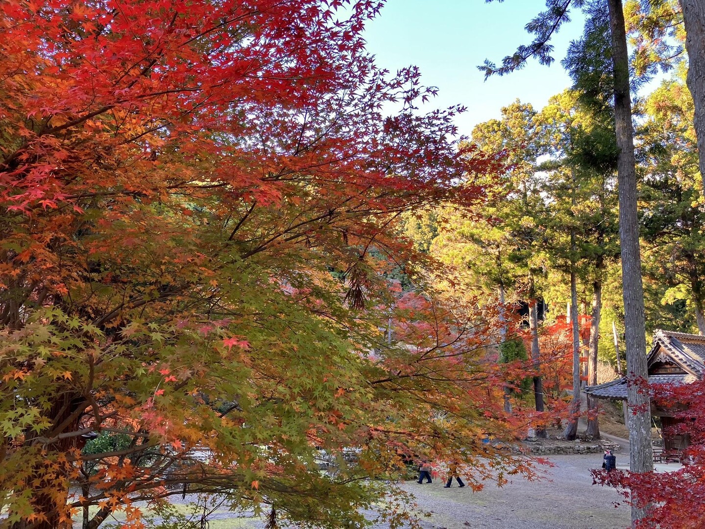 2023.12.1 午後からお出かけ🚗... / Rさんのモーメント | YAMAP / ヤマップ