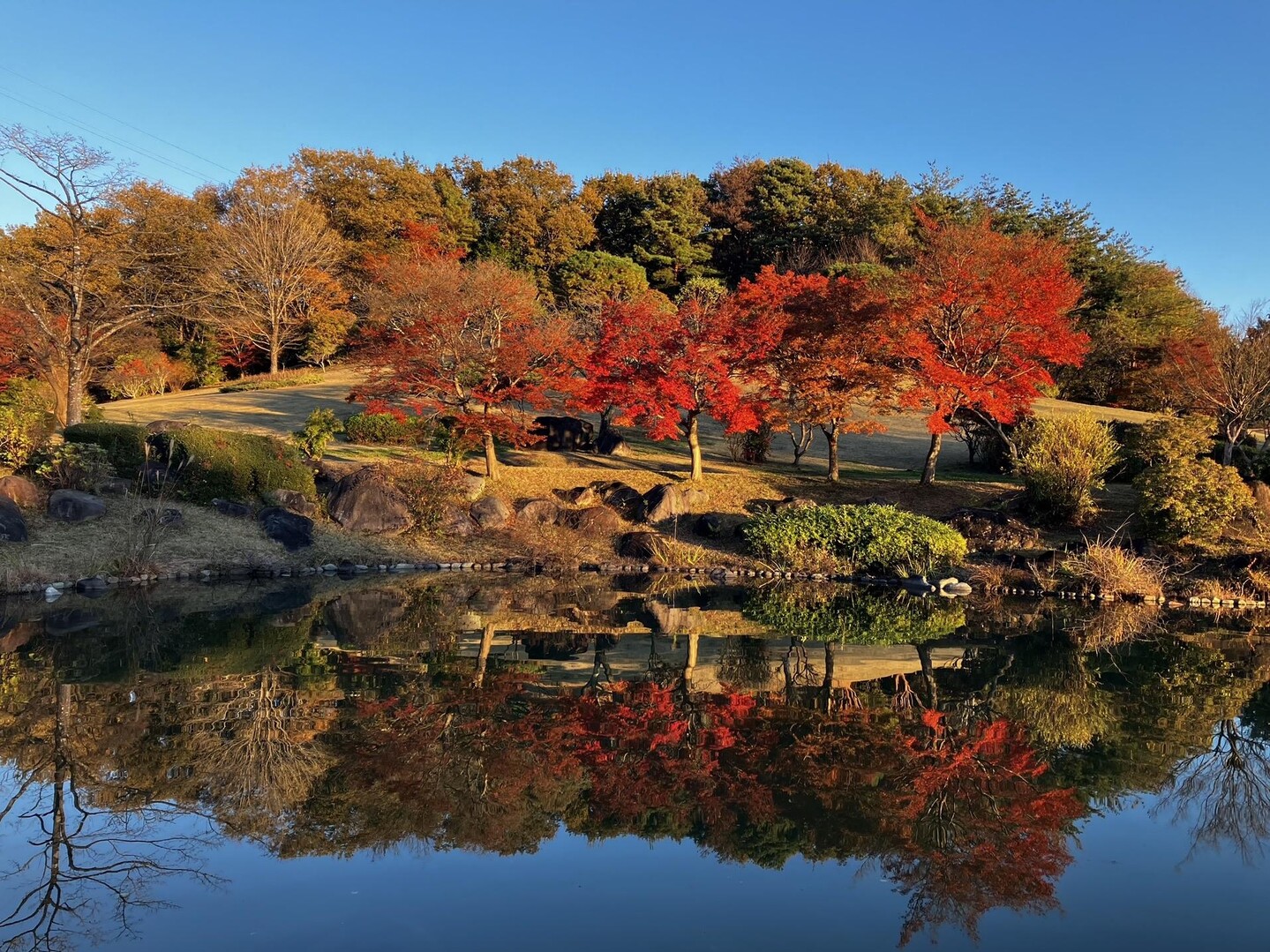 那須野が原公園 ランニング / ZSYさんのランニングの活動データ | YAMAP / ヤマップ