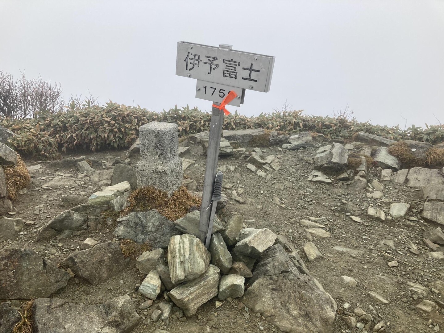 東黒森・伊予富士・自念子ノ頭 / jinger8さんの笹ヶ峰・寒風山・平家平の活動データ | YAMAP / ヤマップ