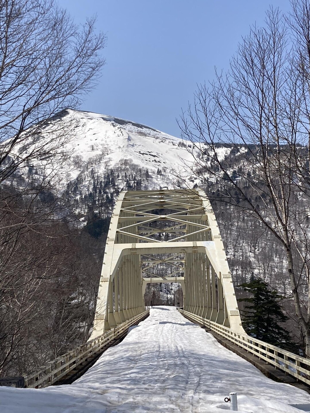 三ッ石山 松川側の奥産道から / chanmikiさんの三ッ石山・大深岳・諸桧岳の活動データ | YAMAP / ヤマップ