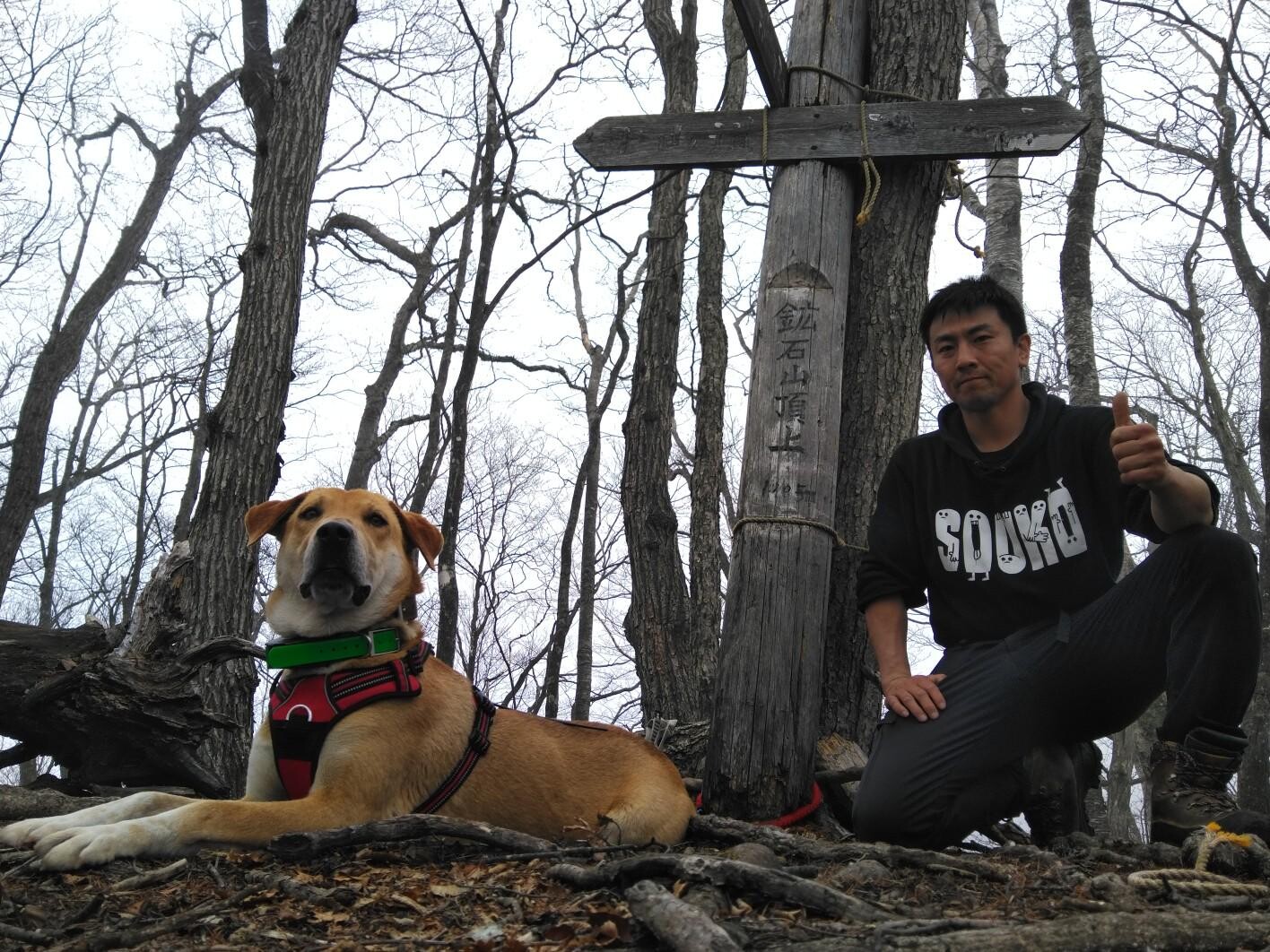 2024年4月6日ぐんま百名山72座目、鉱石山・木賊山 / プロレスラーFUMAさんの鉱石山・木賊山の活動データ | YAMAP / ヤマップ