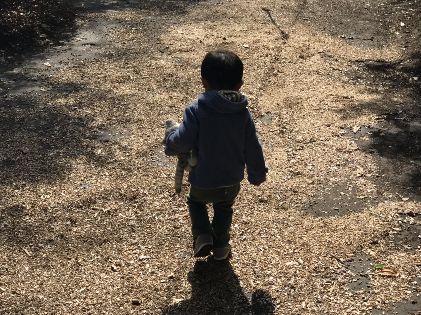 i-kumaのページ | YAMAP / ヤマップ