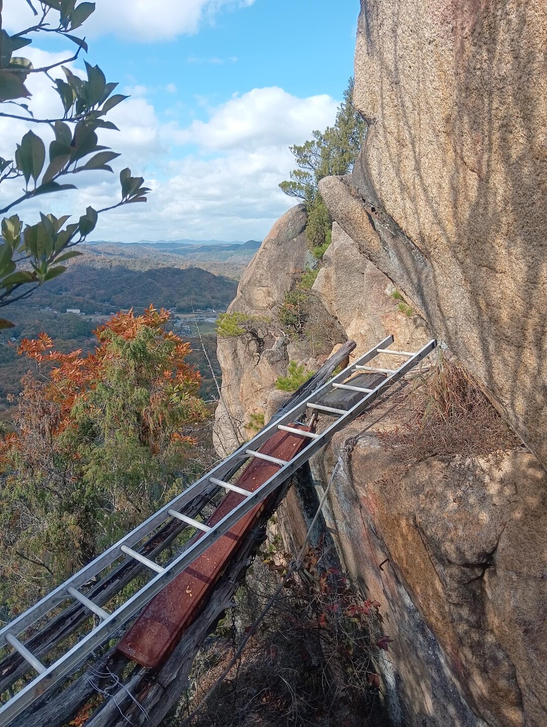 白滝山・黒滝山 / Mitz@さんの黒滝山・白滝山の活動データ | YAMAP / ヤマップ