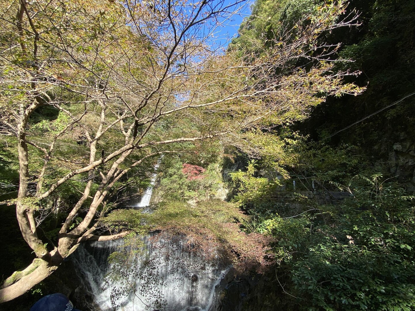 摩耶山 / dadadada_mountainさんの六甲山・長峰山・摩耶山の活動データ | YAMAP / ヤマップ