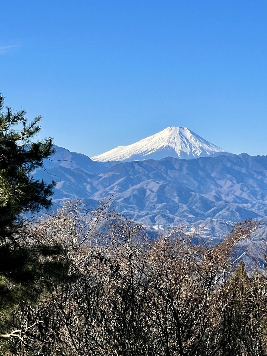 冬空に冠雪富士とお楽しみ_小仏城山 / Nico.KUROさんの高尾山・陣馬山・景信山の活動データ | YAMAP / ヤマップ