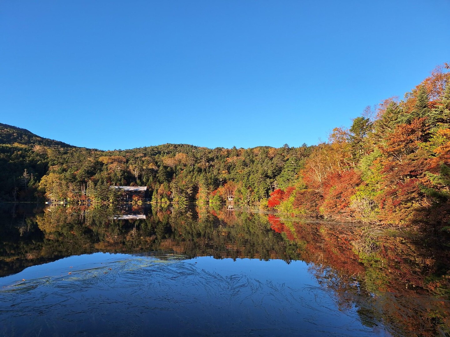 ニュウ🍁🌰🍂 / aya-koさんの八ヶ岳（赤岳・硫黄岳・天狗岳）の活動データ | YAMAP / ヤマップ