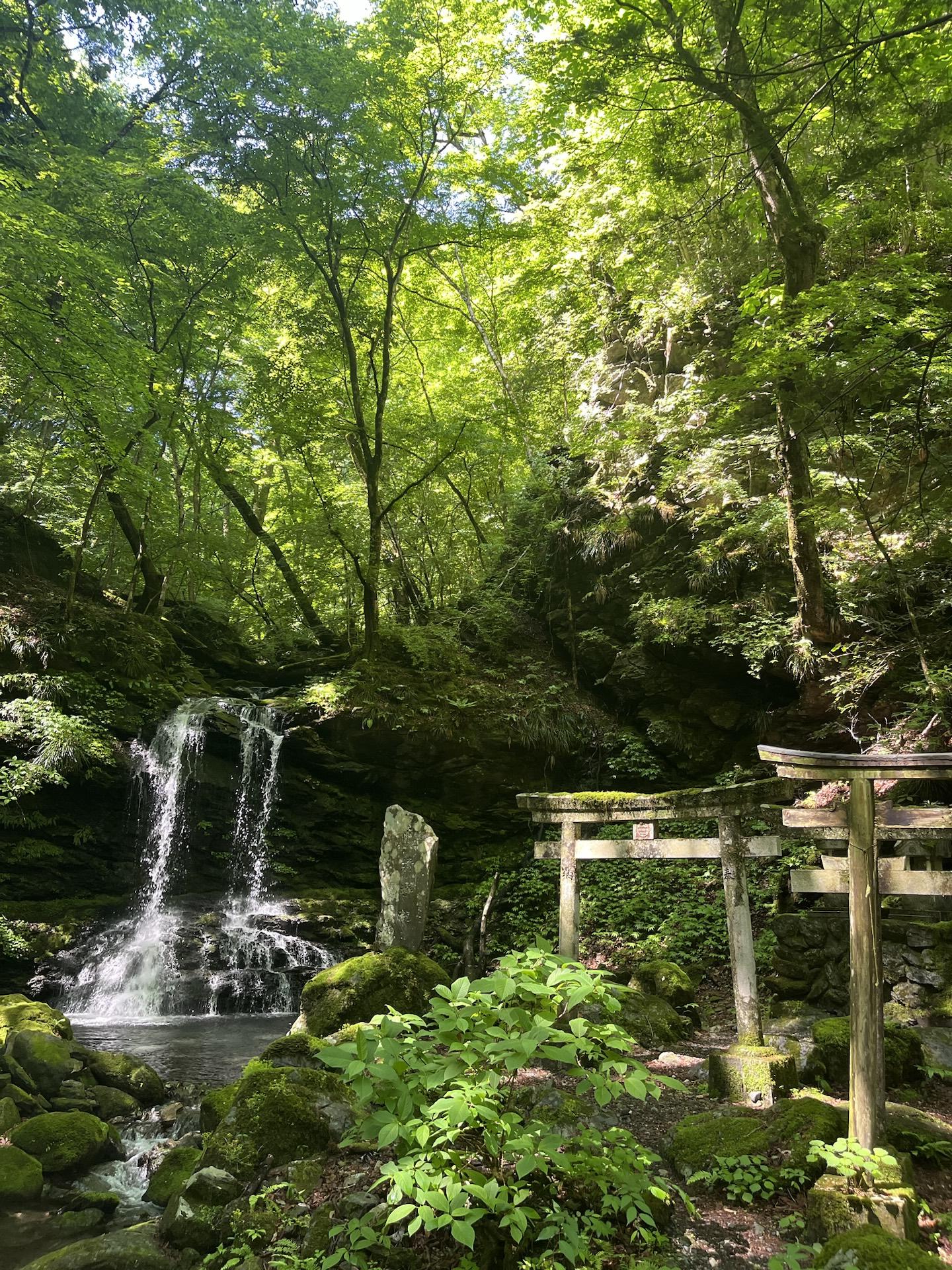 三峰口駅～雲取山～奥多摩駅 / soyoさんの雲取山・鷹ノ巣山・七ツ石山の活動データ | YAMAP / ヤマップ