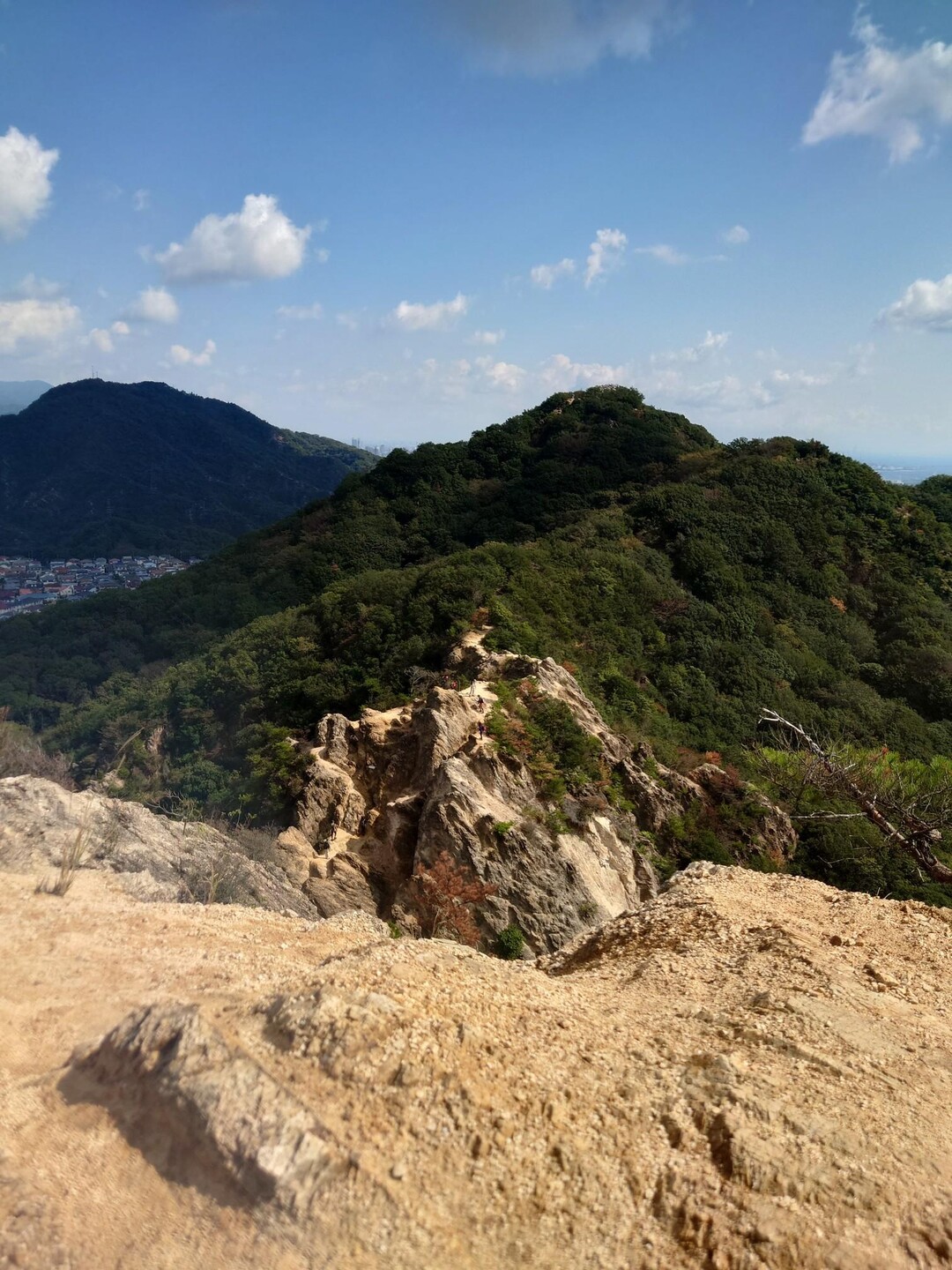 栂尾山・横尾山・東山 / isoさんの六甲山・長峰山・摩耶山の活動データ | YAMAP / ヤマップ