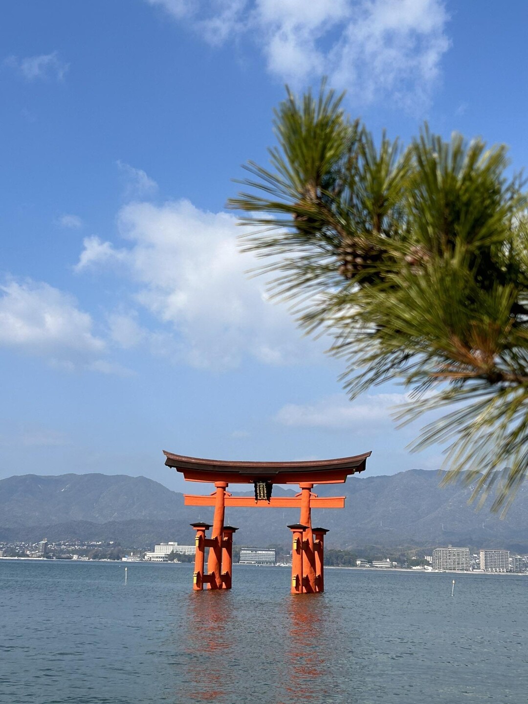 弥山 / JUJUさんの宮島（厳島）・弥山の活動データ | YAMAP / ヤマップ