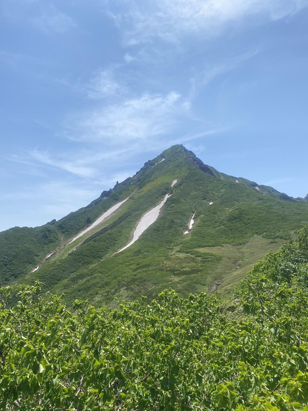 長官山・利尻山（利尻富士） / OS 1さんの利尻山（利尻富士）の活動データ | YAMAP / ヤマップ