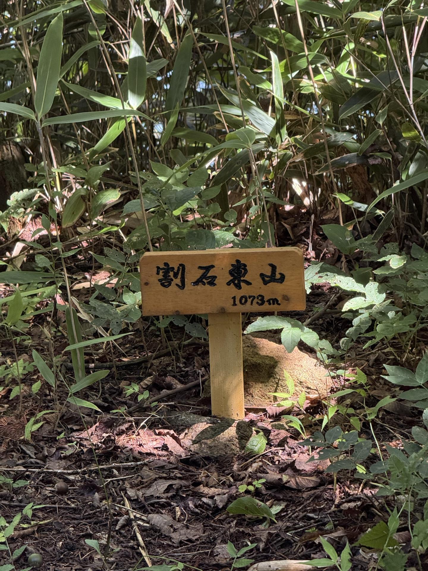 割石峠山・割石東山 / ta3netさんの皿ヶ嶺・梅ヶ谷山・うなめごの活動データ | YAMAP / ヤマップ