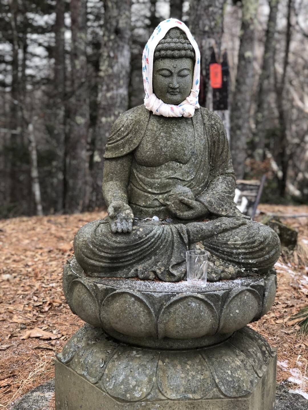 戸倉山（伊那富士） / rock'95さんの戸倉山（伊那富士）の活動データ | YAMAP / ヤマップ