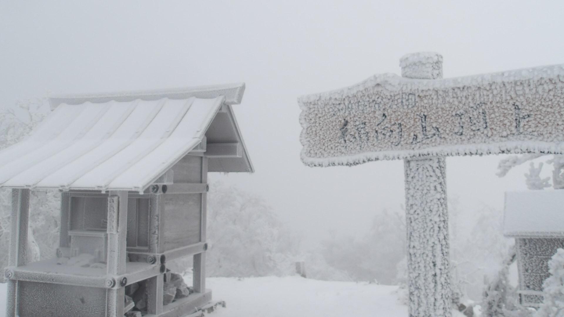 綿向山 / nagait01さんの綿向山の活動データ | YAMAP / ヤマップ