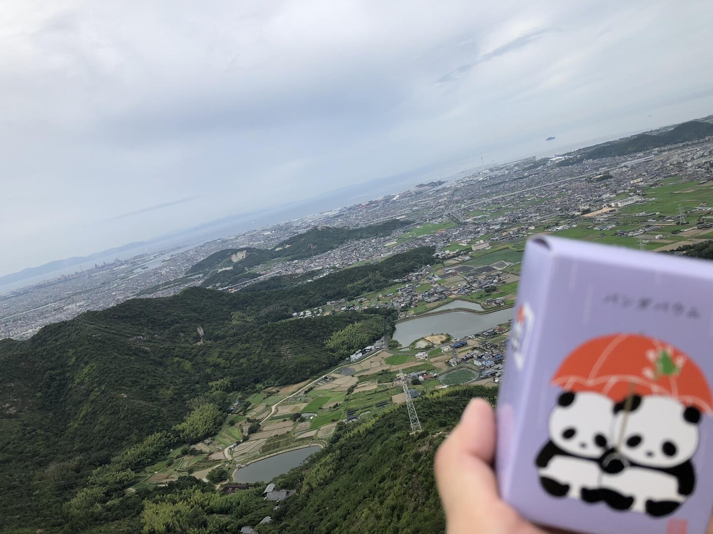別所奥山・鷹ノ巣山・長尾奥山・高御位山 / umi chanさんの高御位山・播磨アルプスの活動データ | YAMAP / ヤマップ