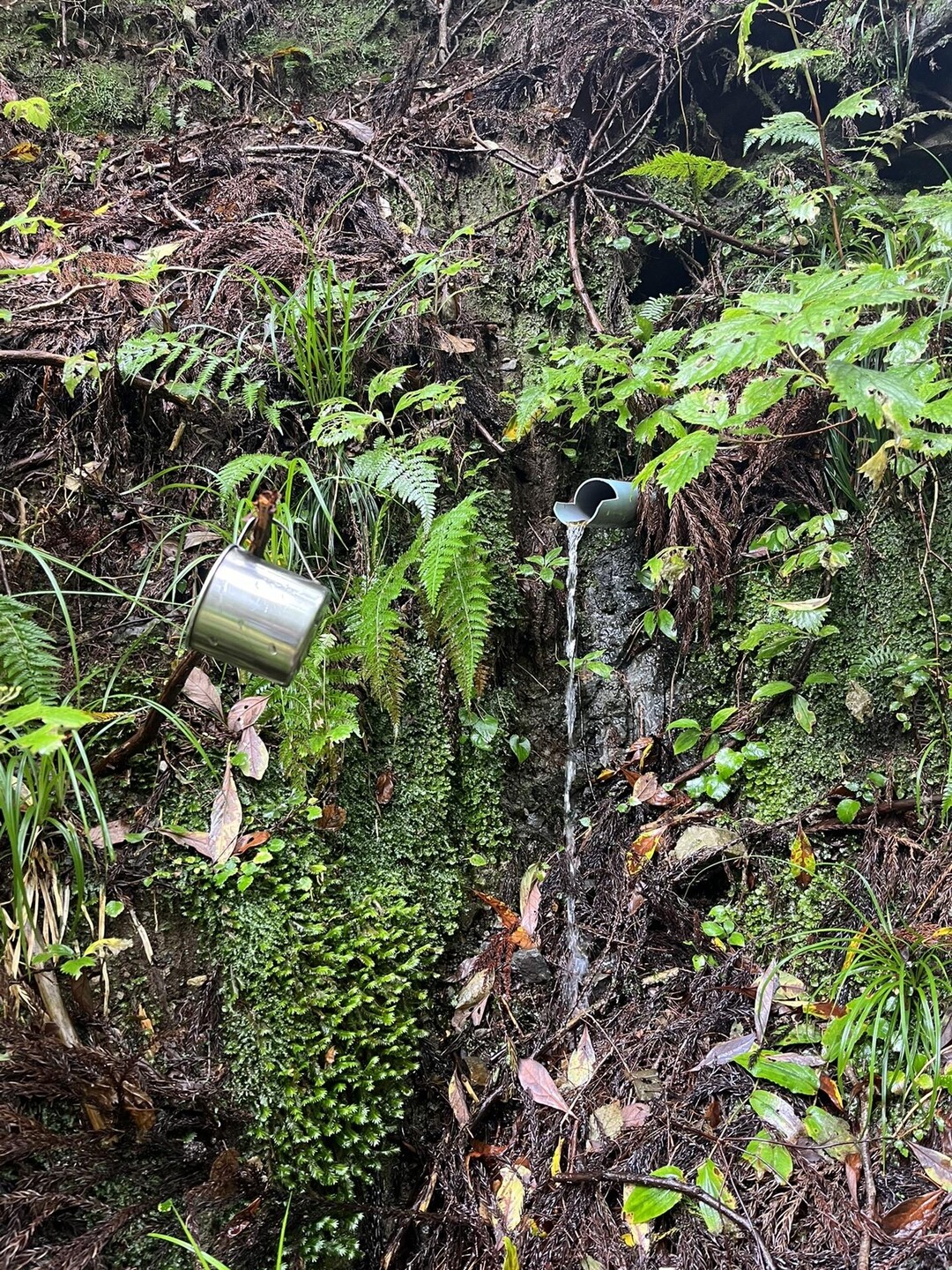 ippeioさんの投稿したフィールドメモ | YAMAP / ヤマップ