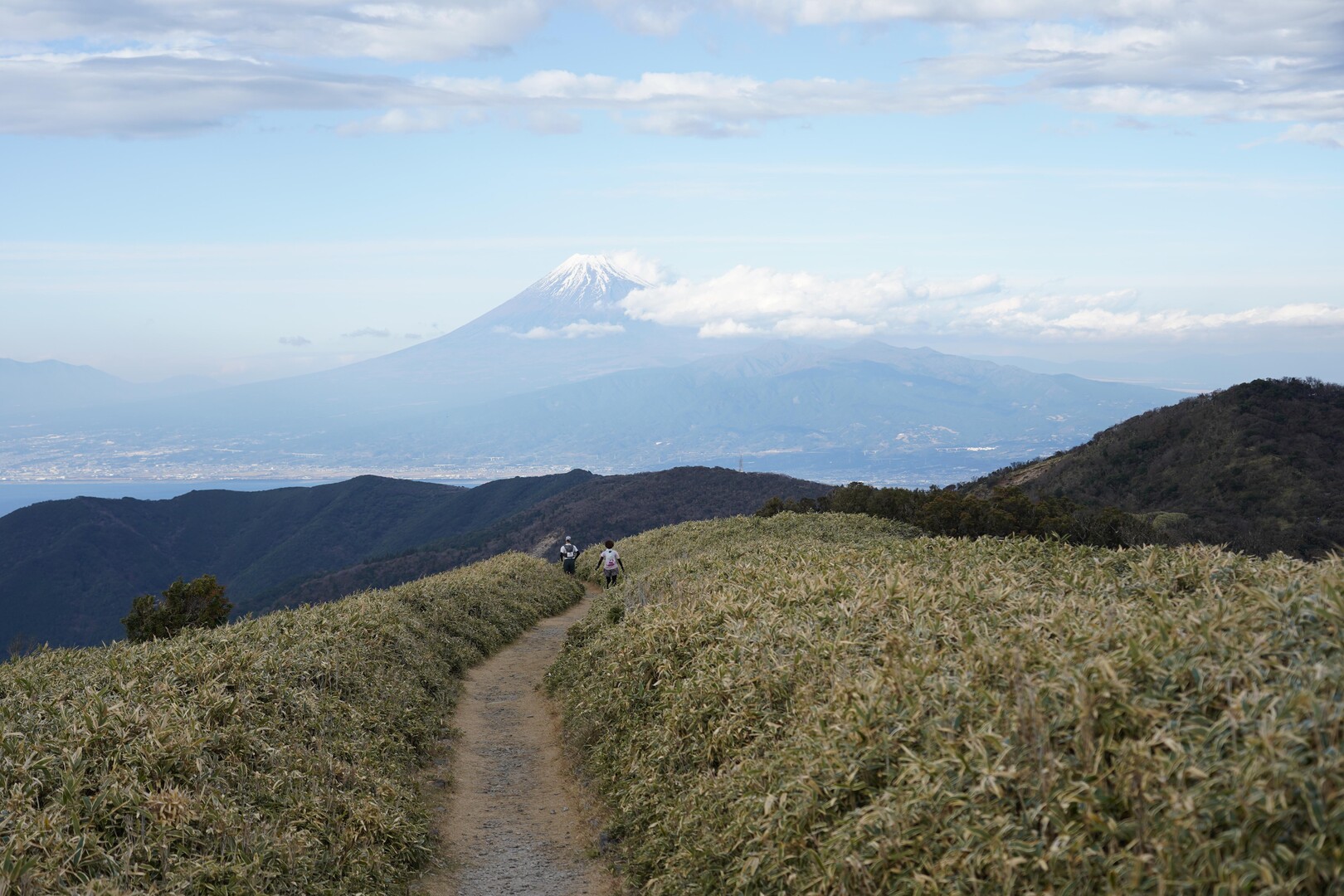 ITJ応援ついでにプチ登山（午後） / えちごさんの金冠山・達磨山・葛城山の活動データ | YAMAP / ヤマップ