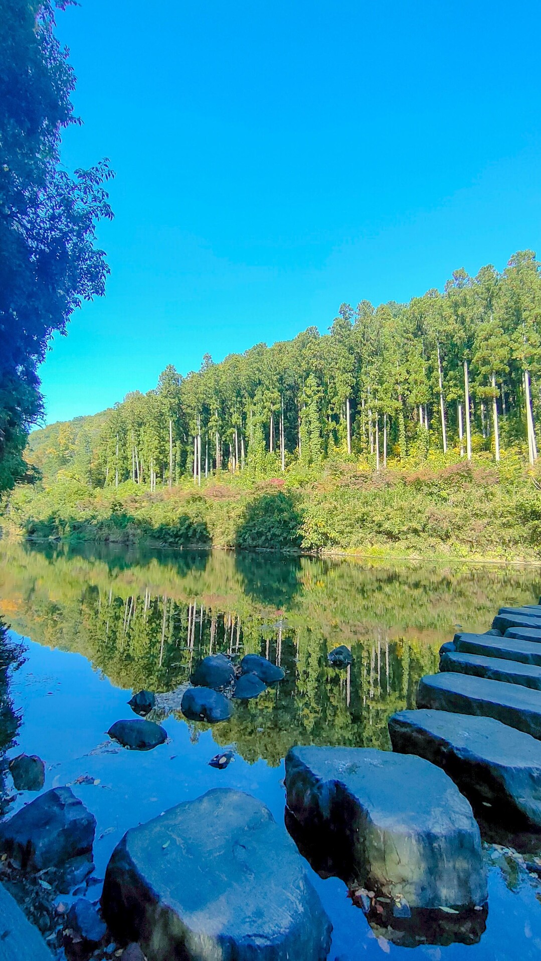 水面という名の鏡 / GIさんのモーメント | YAMAP / ヤマップ