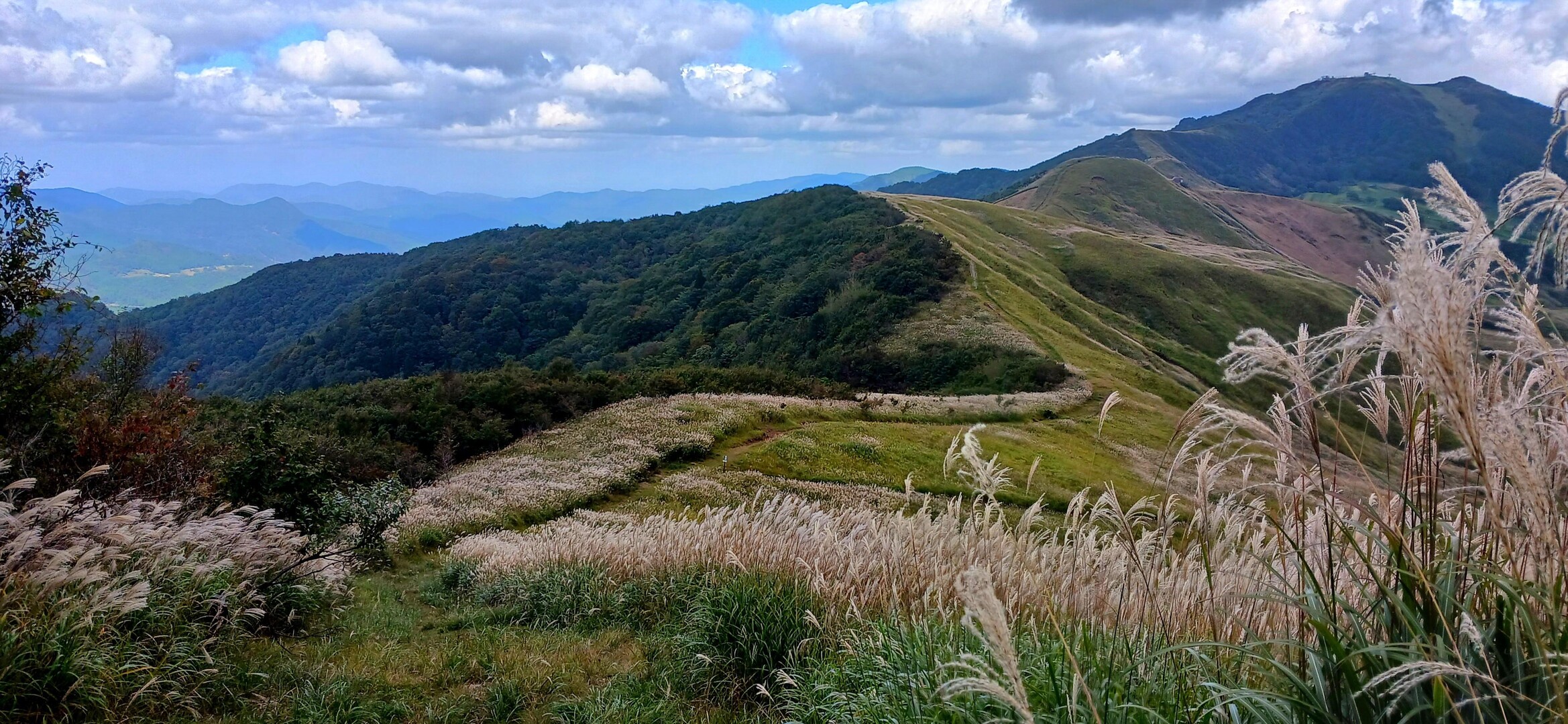 氷ノ山 ぶん廻し / naokorinさんの氷ノ山（須賀ノ山）・鉢伏山・瀞川山の活動データ | YAMAP / ヤマップ