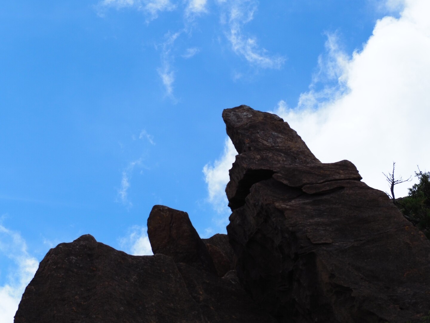 八巻山1698m 2022.R4.7.1... / ととはさんのモーメント | YAMAP / ヤマップ