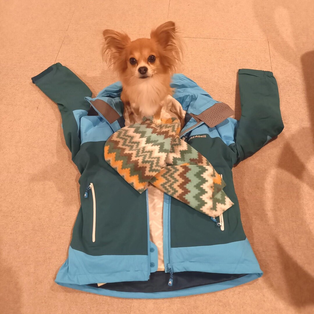 お山歩のための上着やらマフラーやら準備O... / ayakootaさんのモーメント | YAMAP / ヤマップ