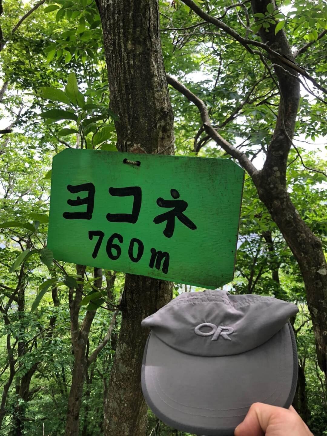 R5 5月23日 ヨコネ（鞍掛峠〜五僧... / オオイシさんのモーメント | YAMAP / ヤマップ