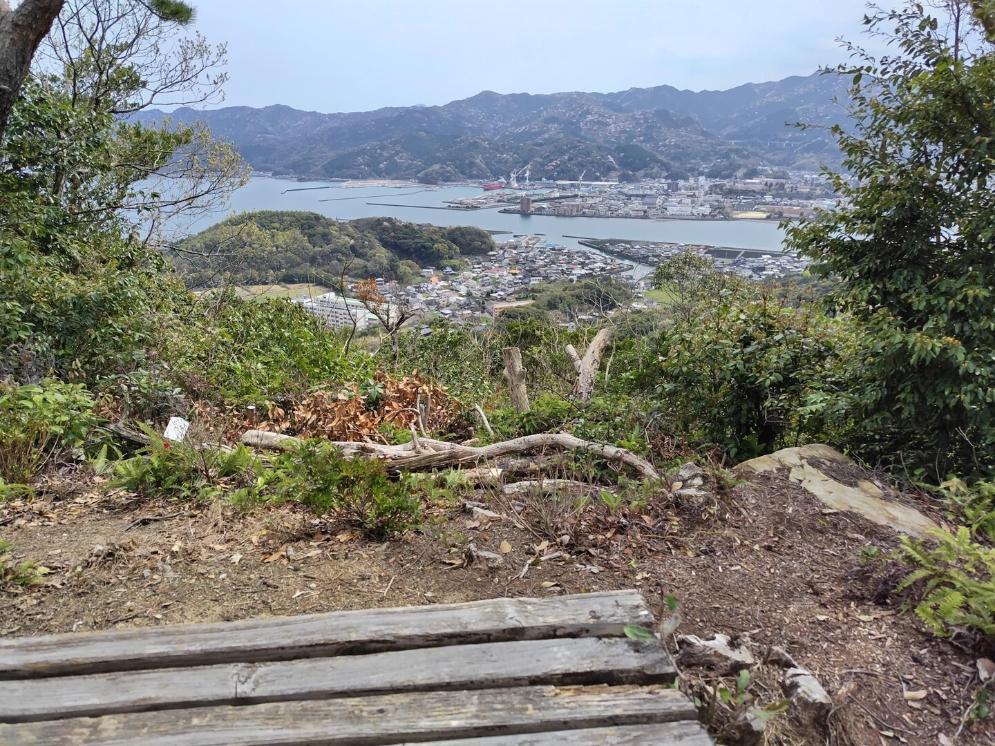 三角台 / otu Yさんの鎮南山の活動データ | YAMAP / ヤマップ