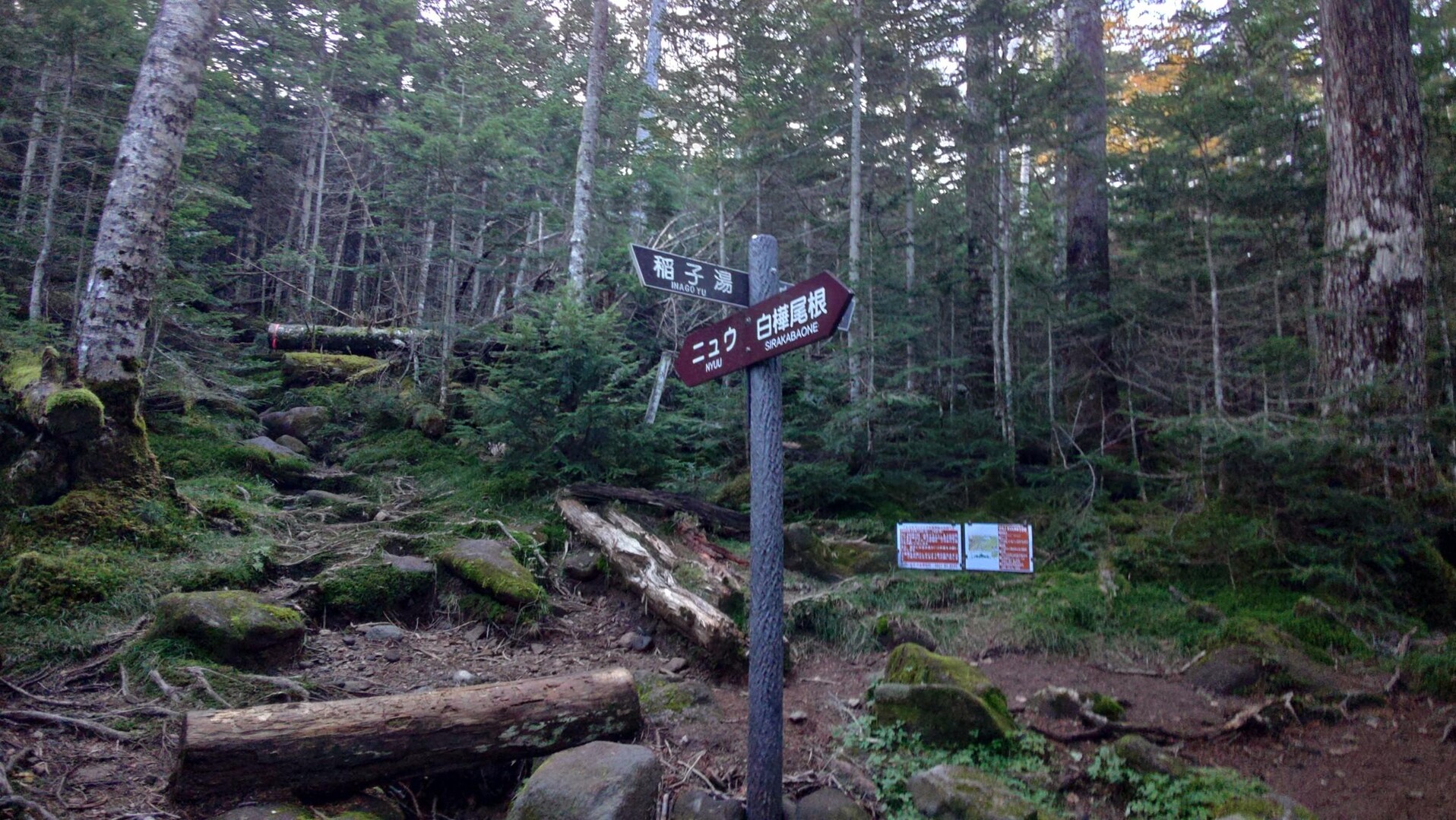 OSJ KOUMI100 2024（DNF） / tkwさんの八ヶ岳（赤岳・硫黄岳・天狗岳）の活動データ | YAMAP / ヤマップ