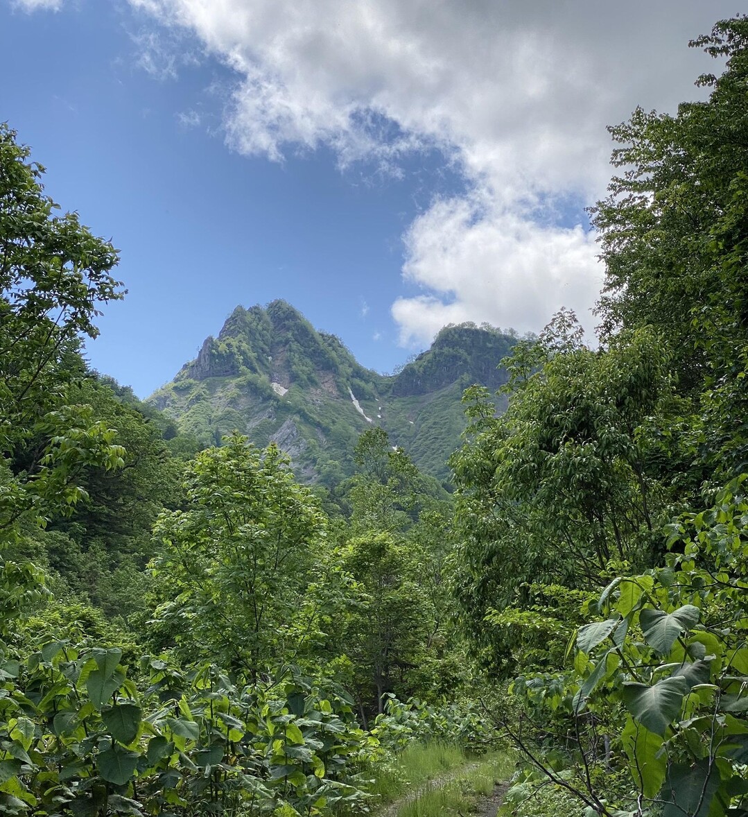 すいすいパスタ🍝etc… / アンディさんの札幌市の活動データ | YAMAP / ヤマップ