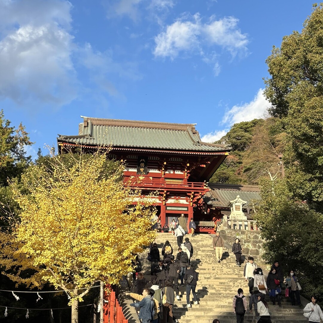 鎌倉観光 鶴岡八幡宮 参拝後に紅葉散策... / akaさんのモーメント | YAMAP / ヤマップ