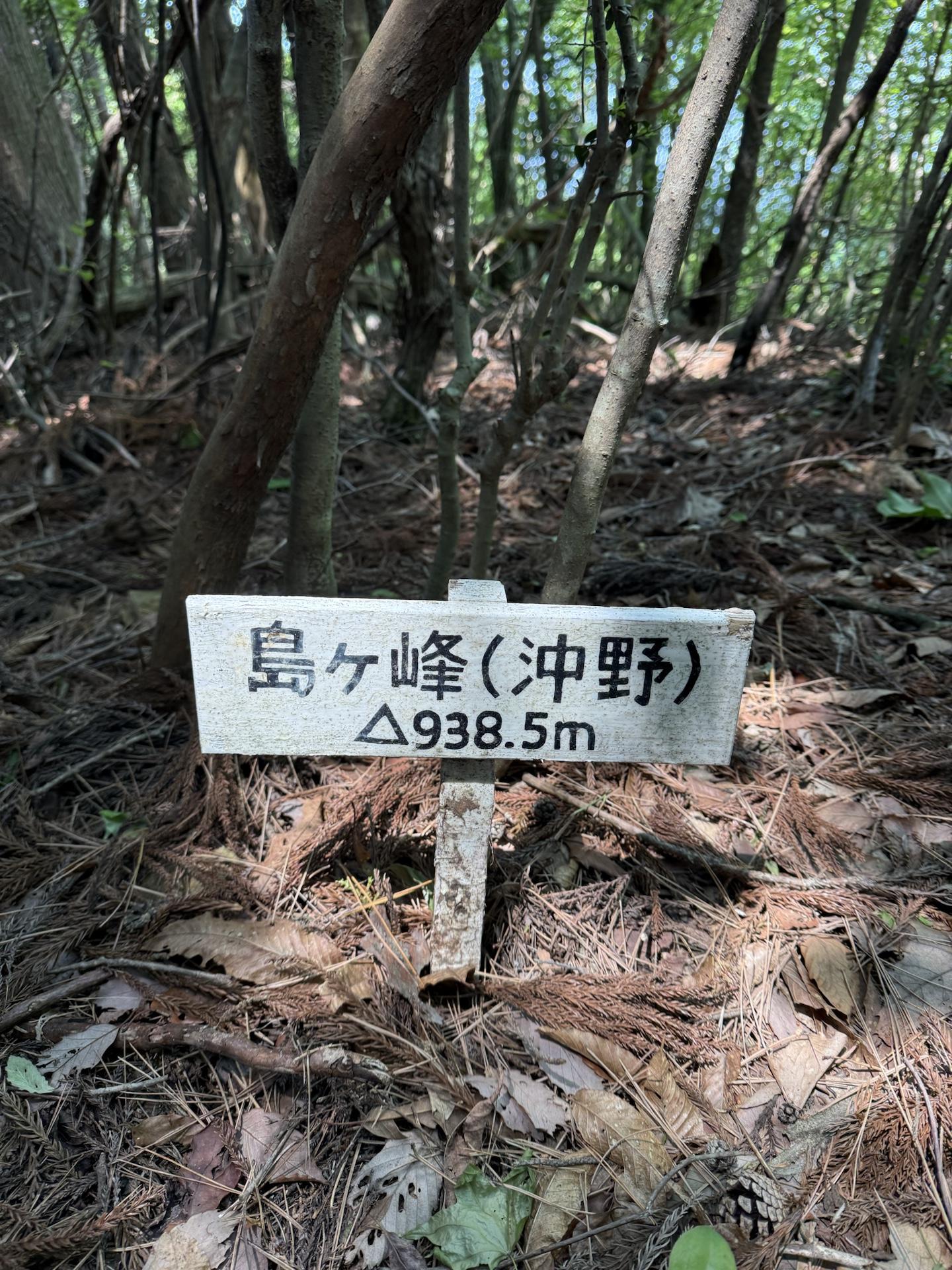 島ヶ峰 / ta3netさんの竜王山（讃岐山脈）・大川山の活動データ | YAMAP / ヤマップ