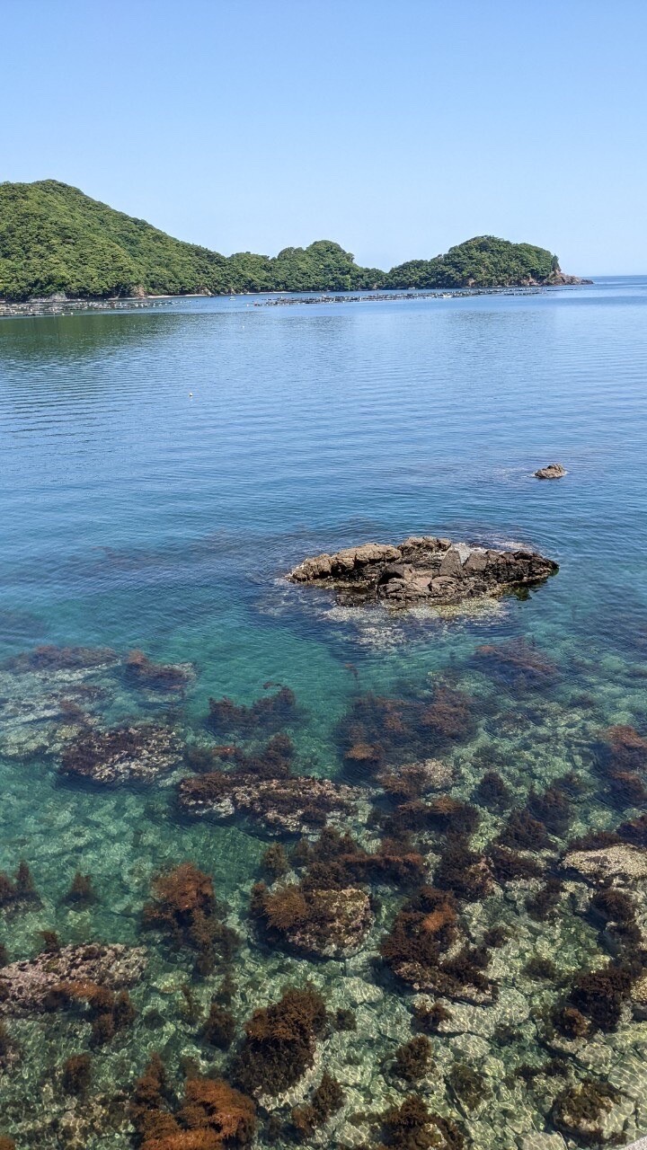 5/30 福井県 🚴‍♀️小浜から三方... / もーちゃん🐼🍙さんのモーメント | YAMAP / ヤマップ