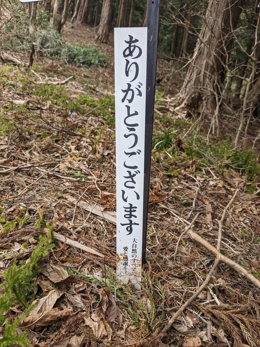 日本コバ・衣掛山 / Ryota Kimuraさんの日本コバの活動データ | YAMAP / ヤマップ