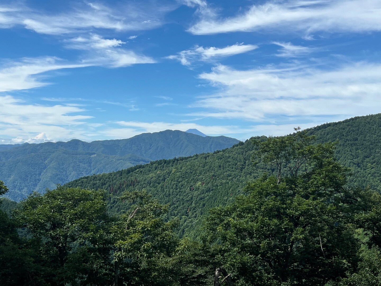 zenさんの投稿したフィールドメモ | YAMAP / ヤマップ