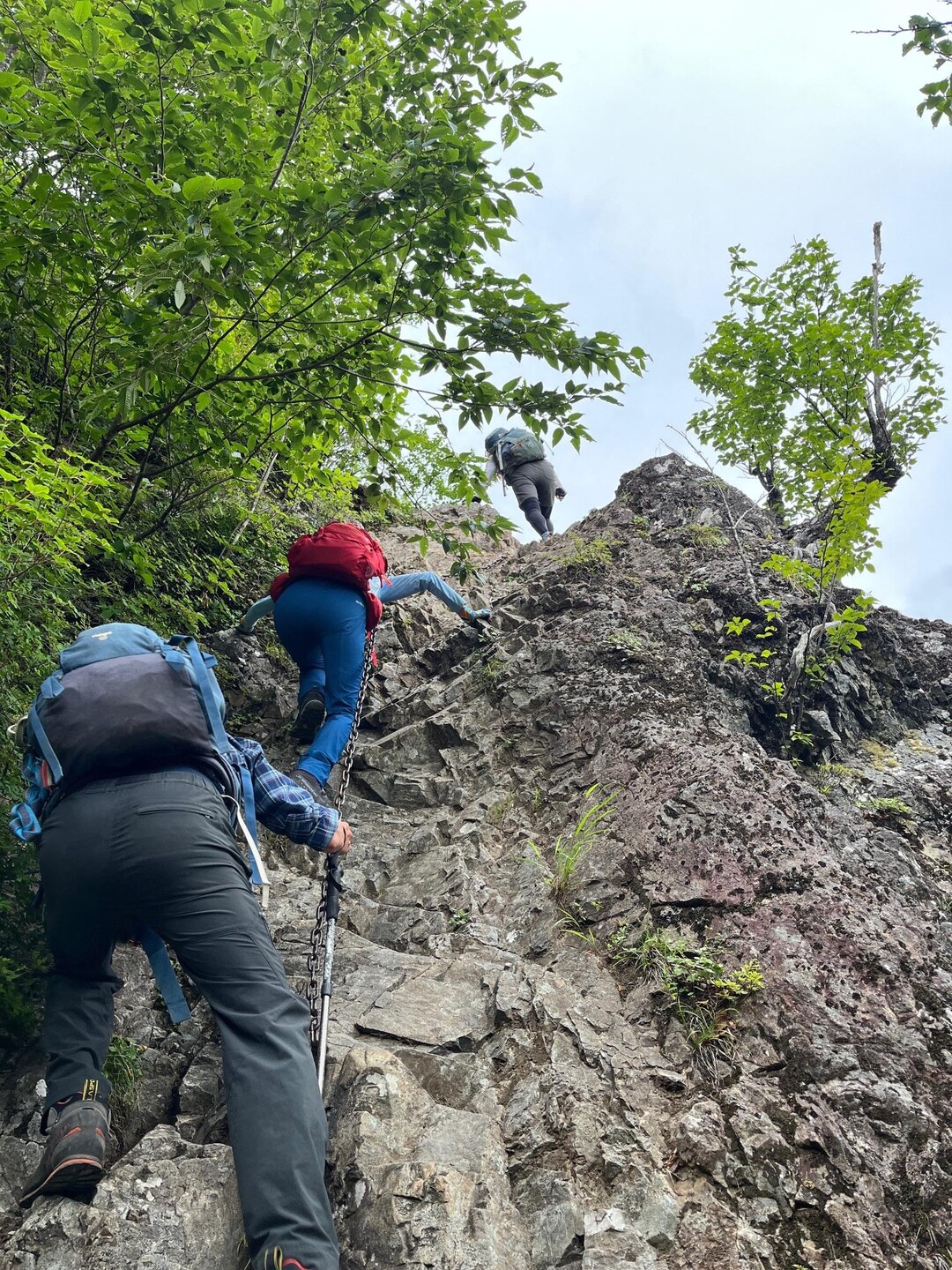 両神山（八丁尾根） / takeyanさんの両神山・諏訪山・二子山の活動データ | YAMAP / ヤマップ