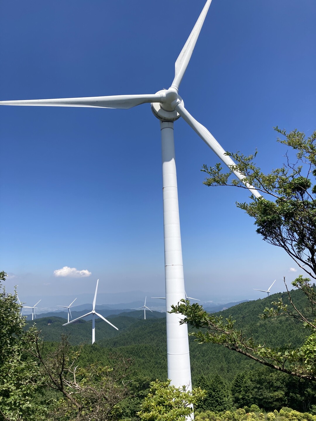 "関西の軽井沢⁈" 青山高原 / annpapaさんの青山高原の活動データ | YAMAP / ヤマップ