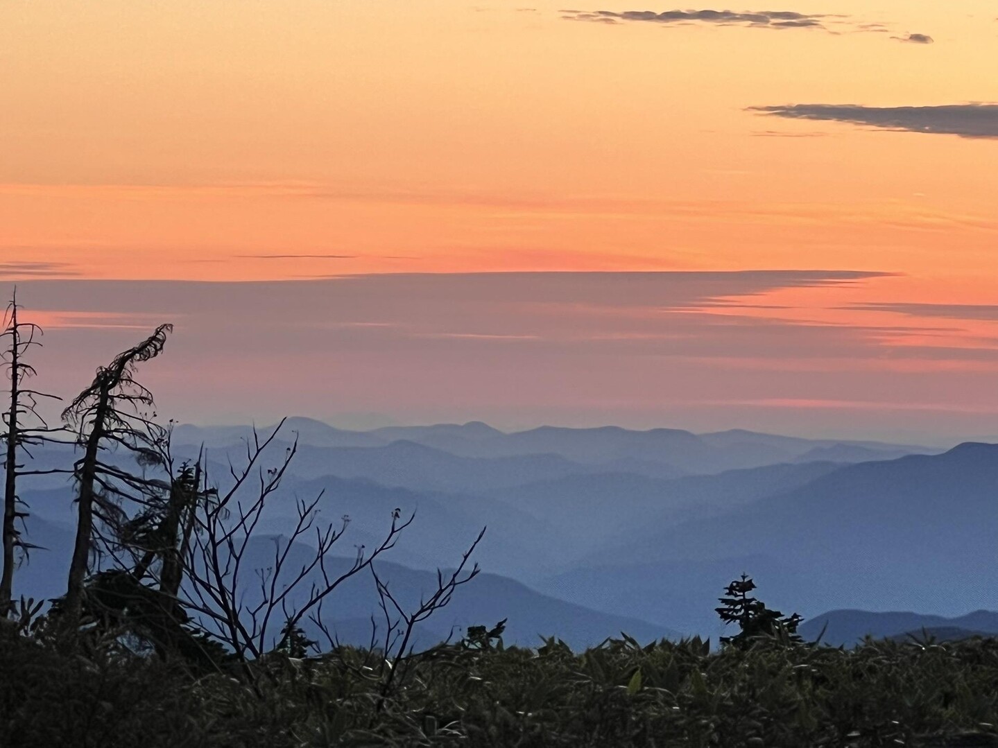 白山(テント泊) またも高山病😭 / きらこさんの白山・別山・銚子ヶ峰の活動データ | YAMAP / ヤマップ