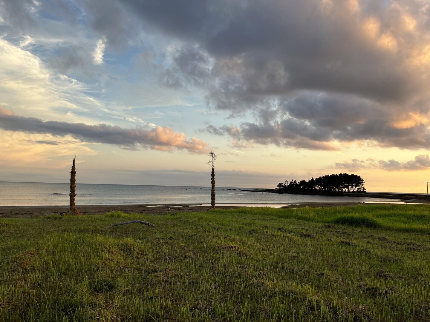 御招霊なう(′A') / kirieraさんのモーメント | YAMAP / ヤマップ