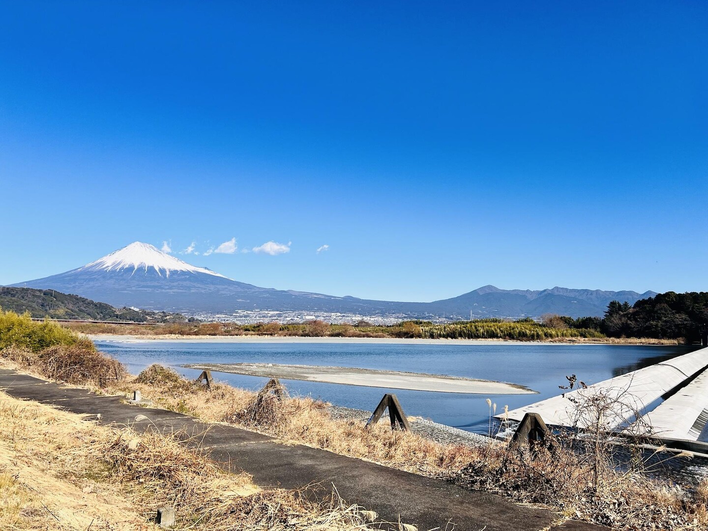 岩本山で蝋梅鑑賞 feat.富士川かりがね橋・富士川橋・雁堤 / ZUNさんの岩本山・明星山の活動データ | YAMAP / ヤマップ