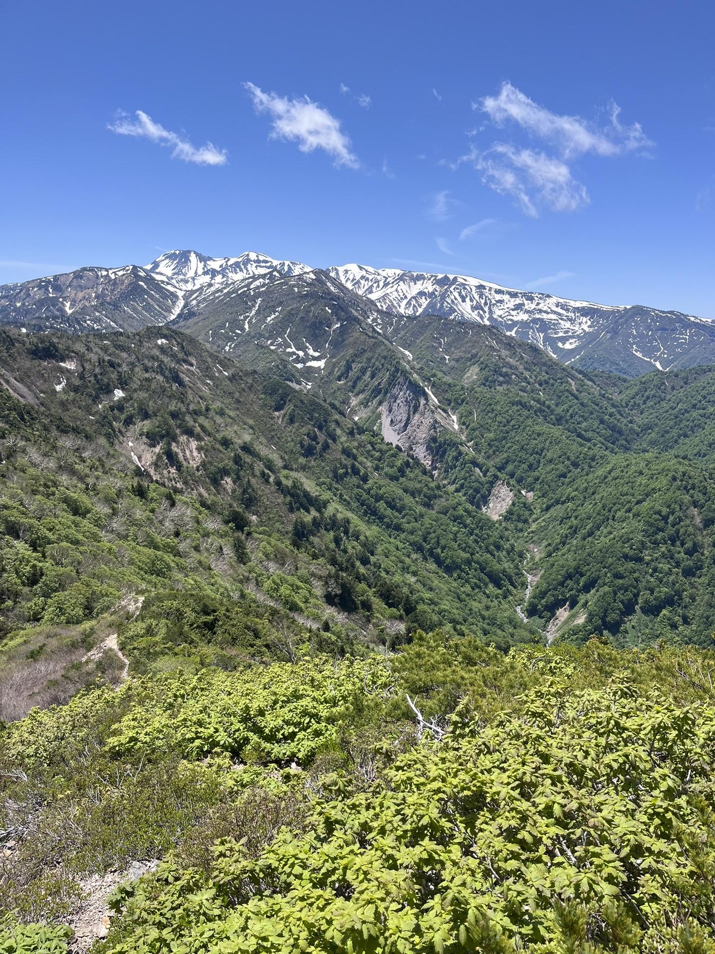 野谷荘司山〜妙法山〜三方岩岳周回 / mierinさんの白山・別山・銚子ヶ峰の活動データ | YAMAP / ヤマップ