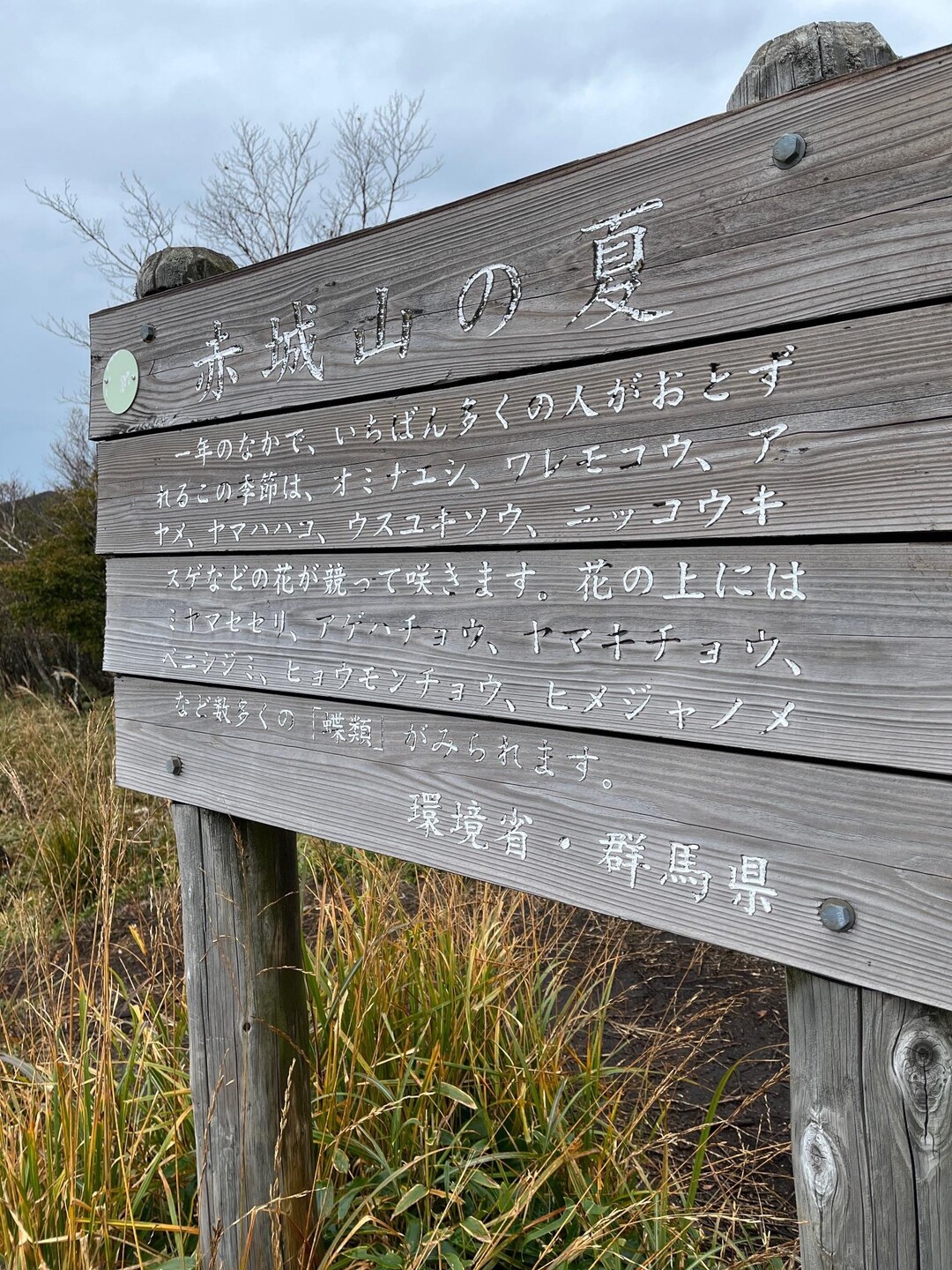 Maa さんの投稿したフィールドメモ | YAMAP / ヤマップ