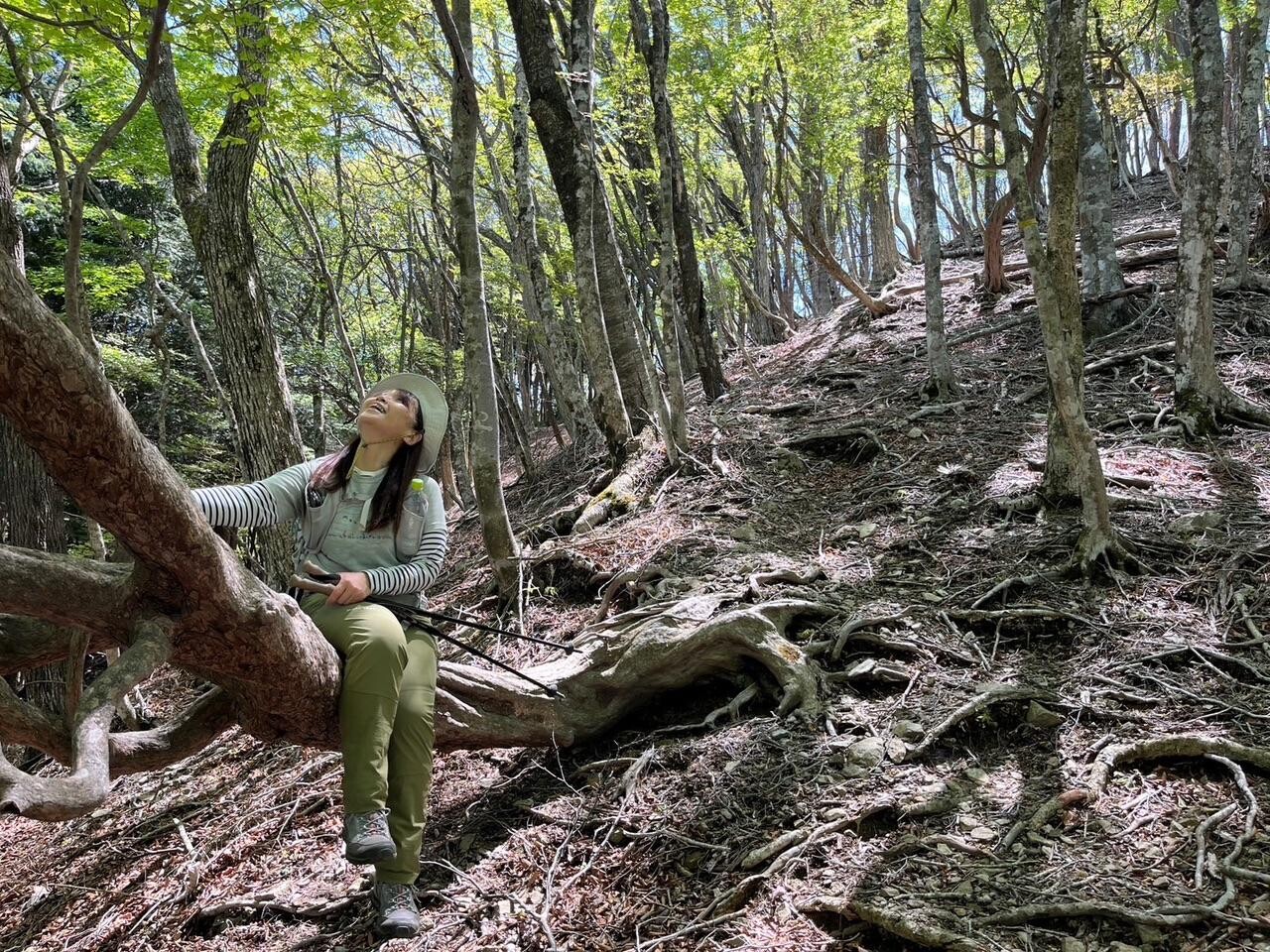 meeのページ | YAMAP / ヤマップ