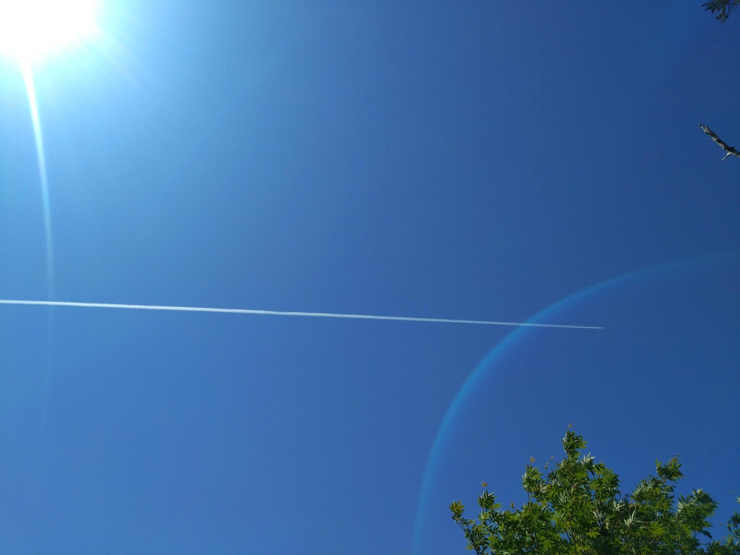 飯降山(大岳) / Tatsu🌠さんの飯降山（御岳）の活動データ | YAMAP / ヤマップ