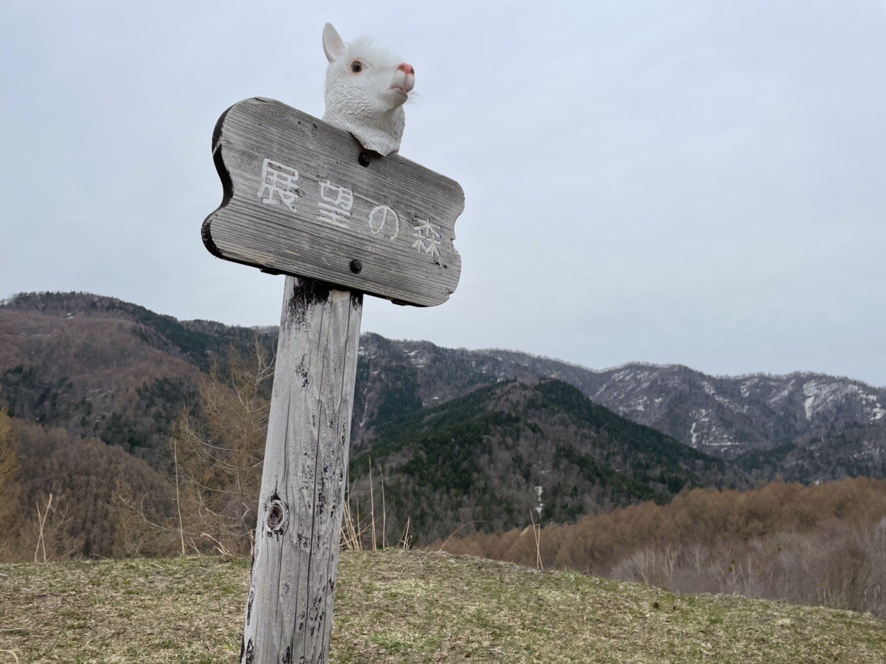岩見沢万字炭山森林公園ズリ山 今年29回目 / mii500さんの幌向岳・ズリ山の活動日記 | YAMAP / ヤマップ