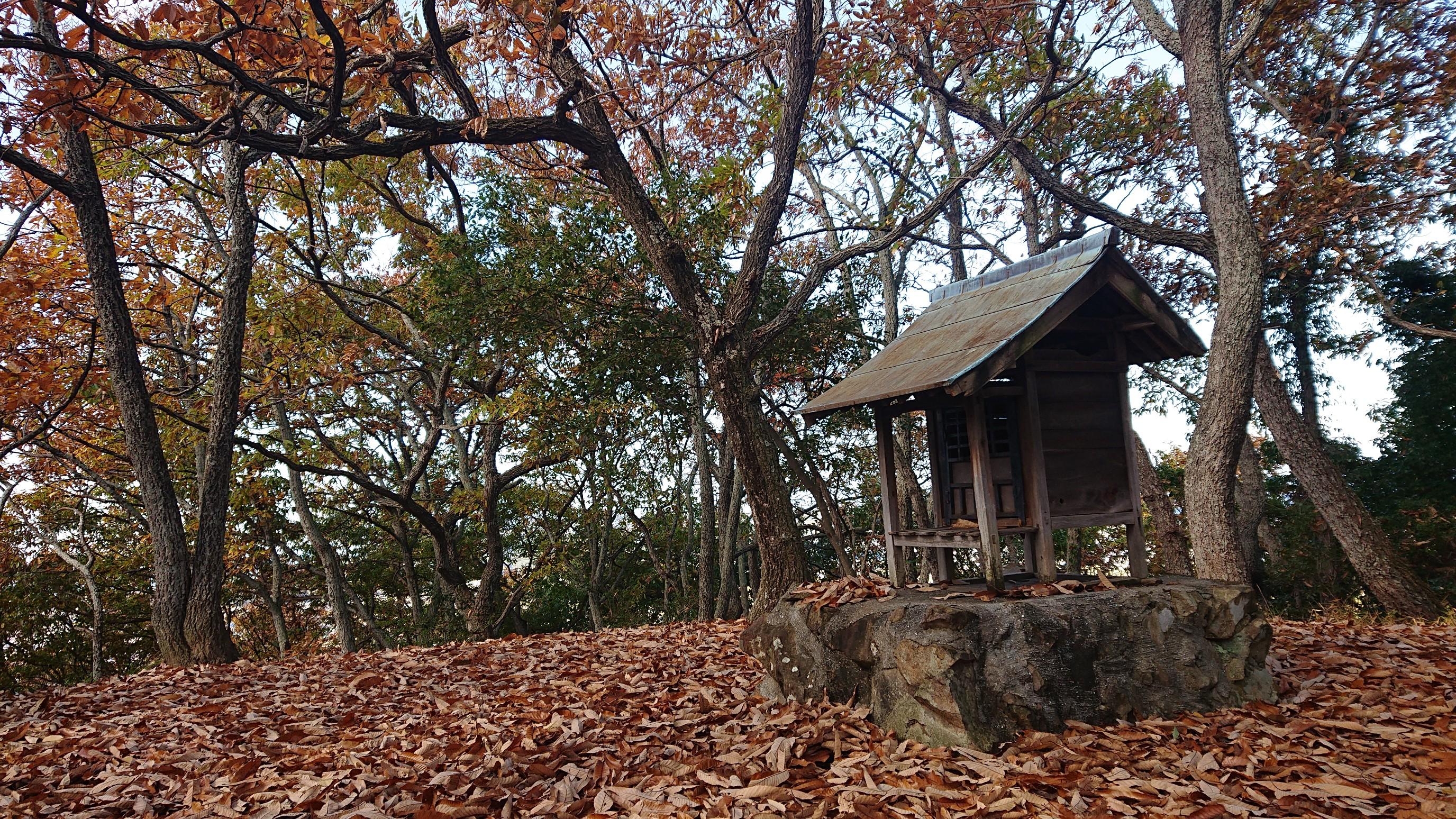 大久保山・潮見山・室岡山・中坂山・天神山 / 師匠さんの松山市（南エリア）の活動データ | YAMAP / ヤマップ